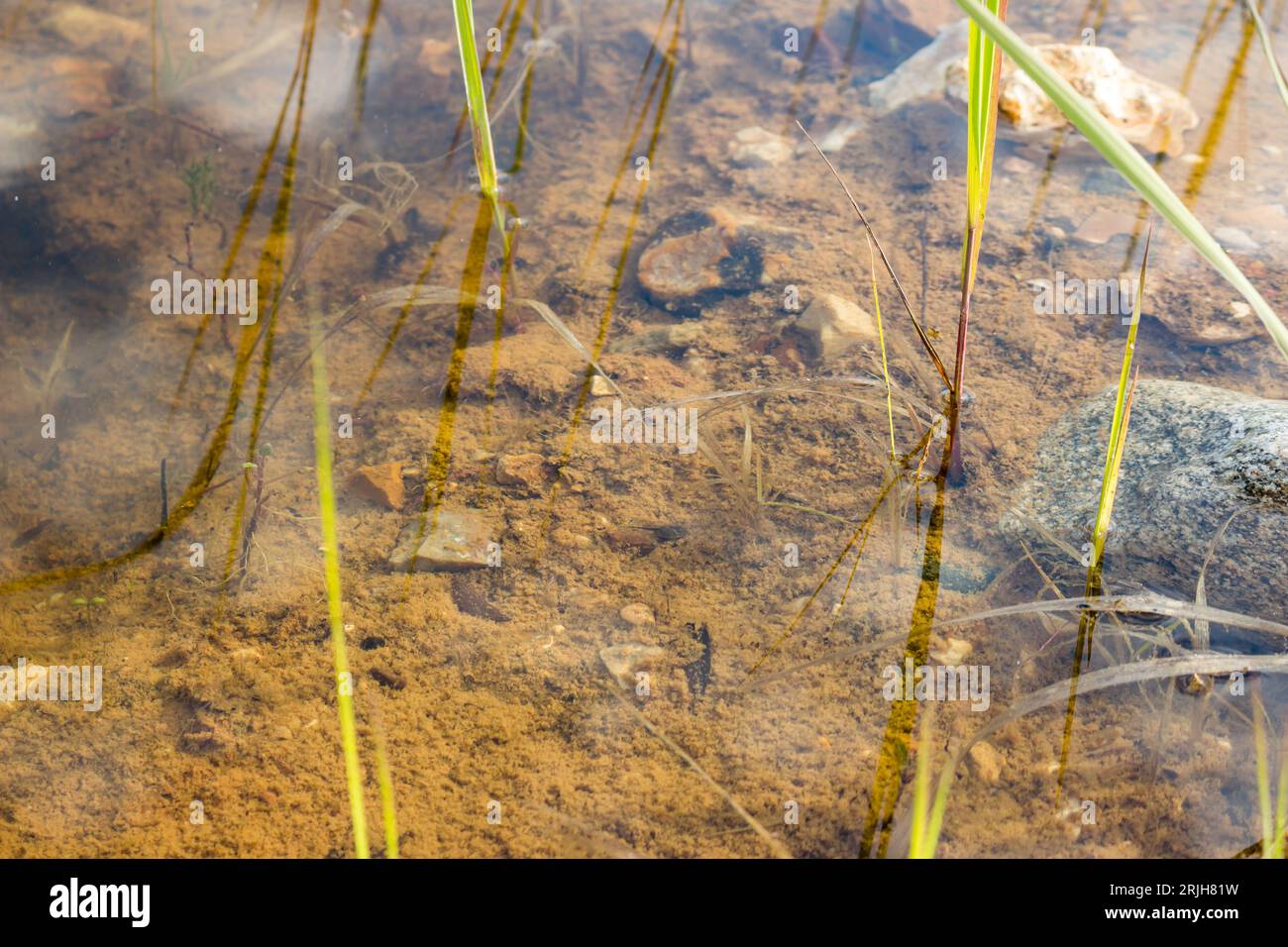 Clayey stones hi-res stock photography and images - Alamy
