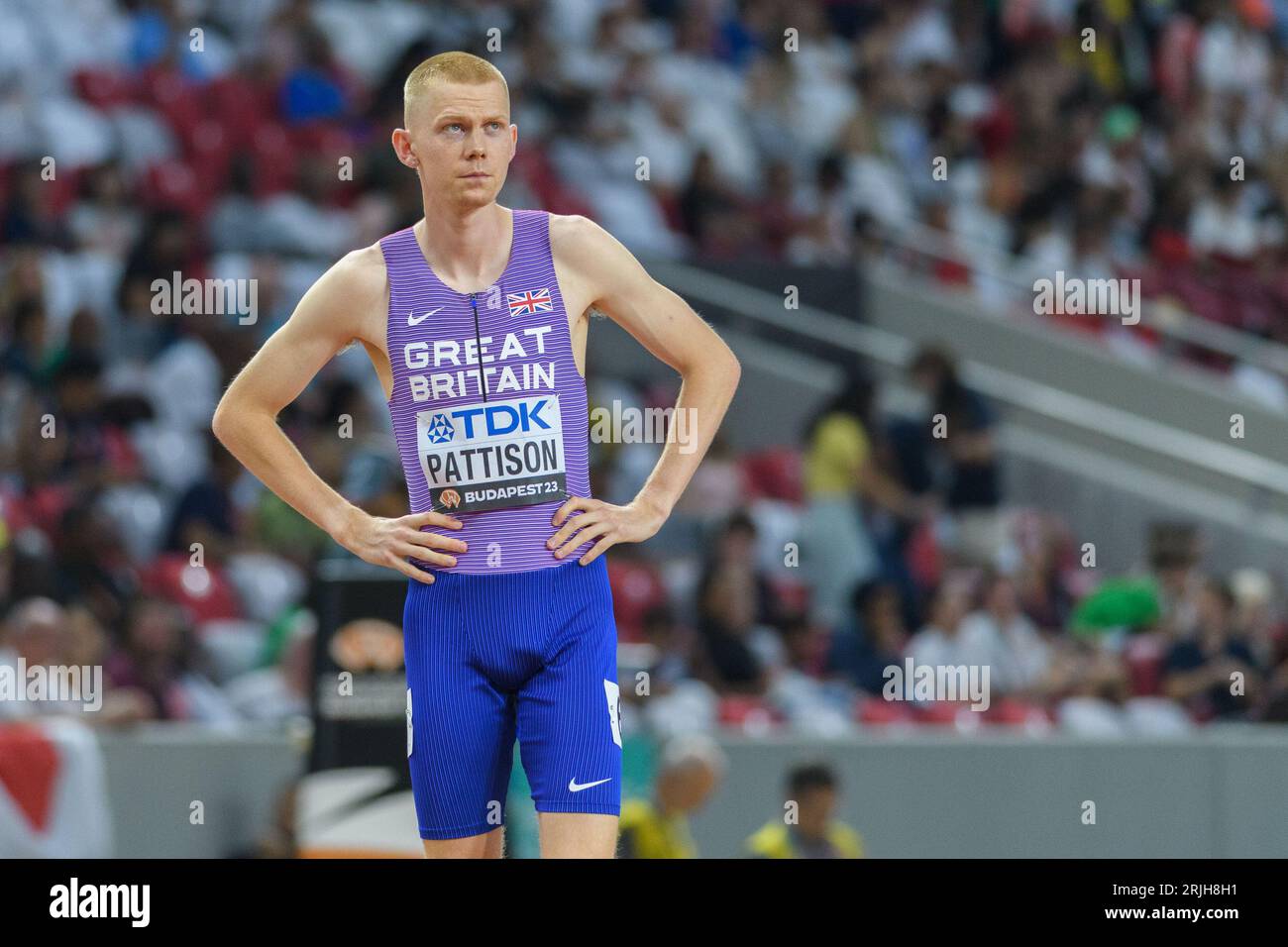 Ben pattison budapest 2023 hi-res stock photography and images - Alamy