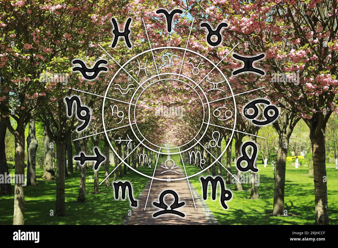 Trees for zodiac signs 60 photos - Youhoroscope.com