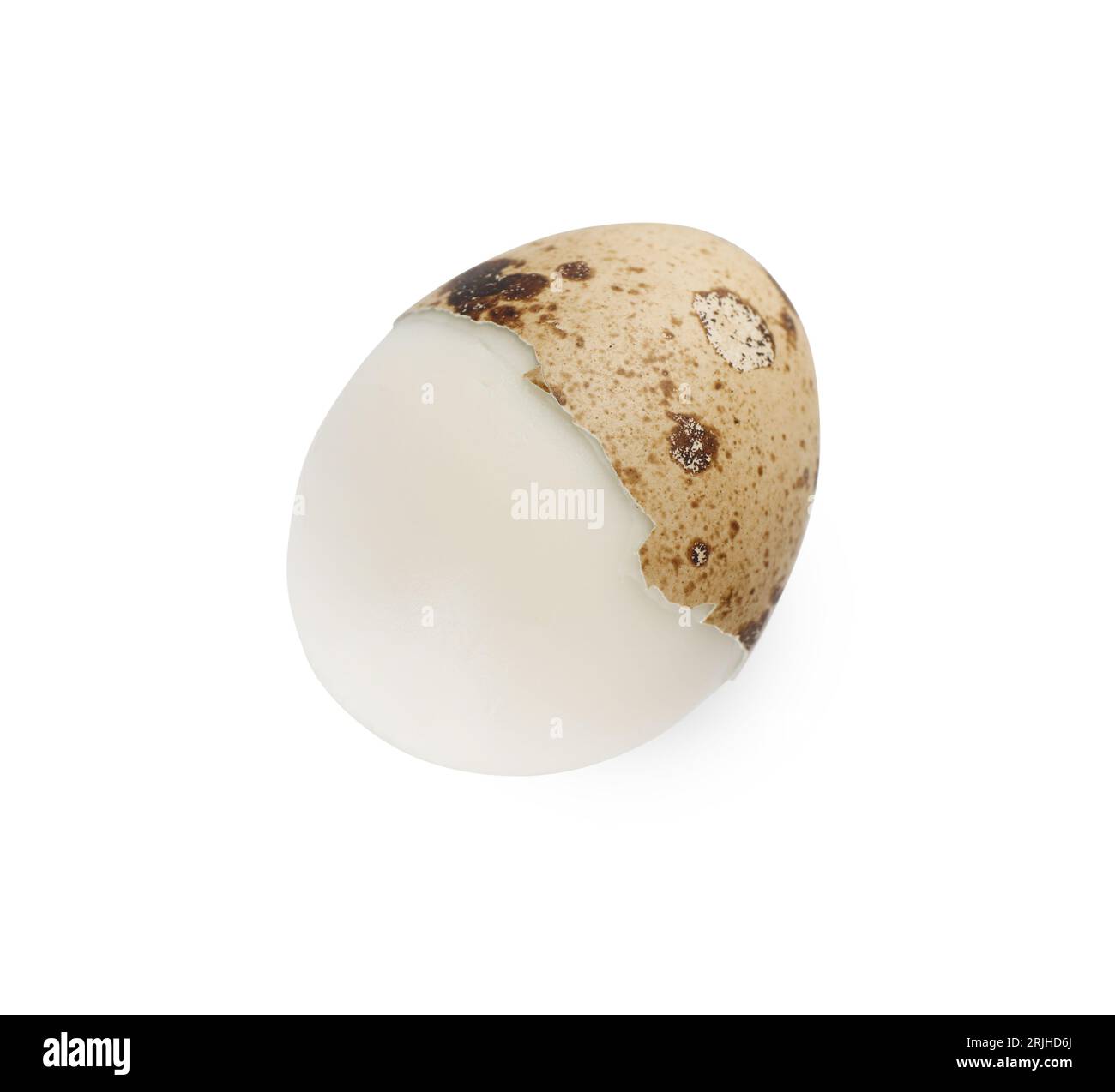 Boiled quail egg in shell on white background, top view Stock Photo - Alamy
