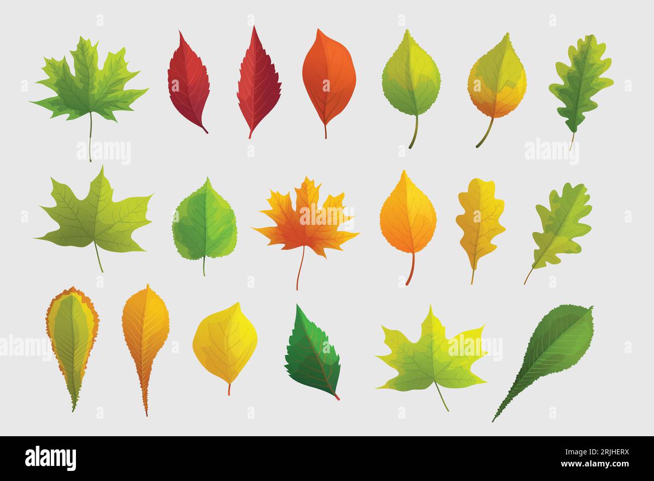 Birch forest on bright Stock Vector Images - Alamy