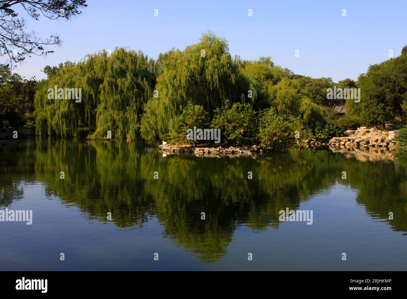 Trees and lakes natural landscape, in Beijing, China Stock Photo - Alamy