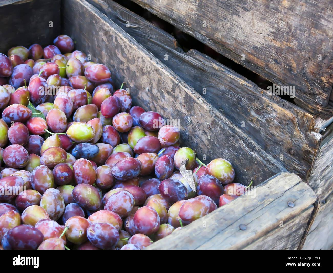 Large wooden crate hi-res stock photography and images - Alamy