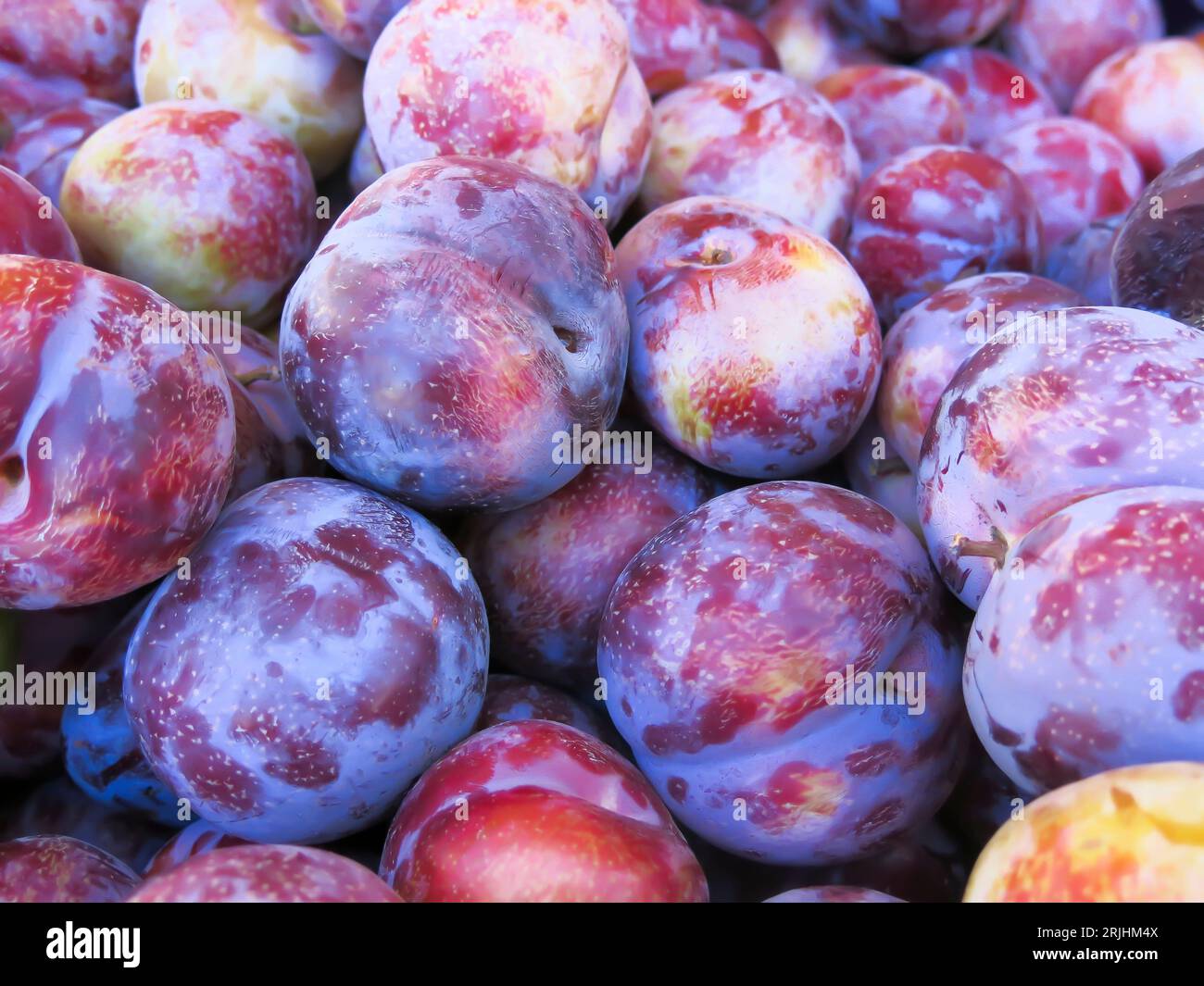 Pluots hi-res stock photography and images - Alamy