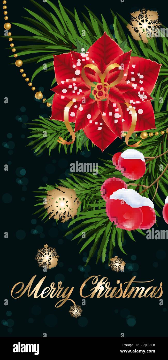 Poinsettia flower black background Stock Vector Images - Alamy