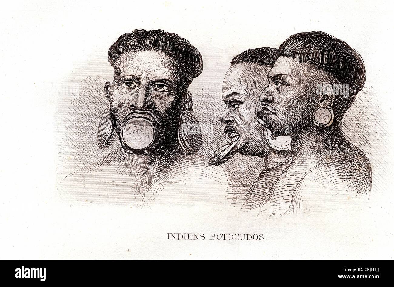 Botocudo men with facial disks, 19th century illustration Stock Photo ...