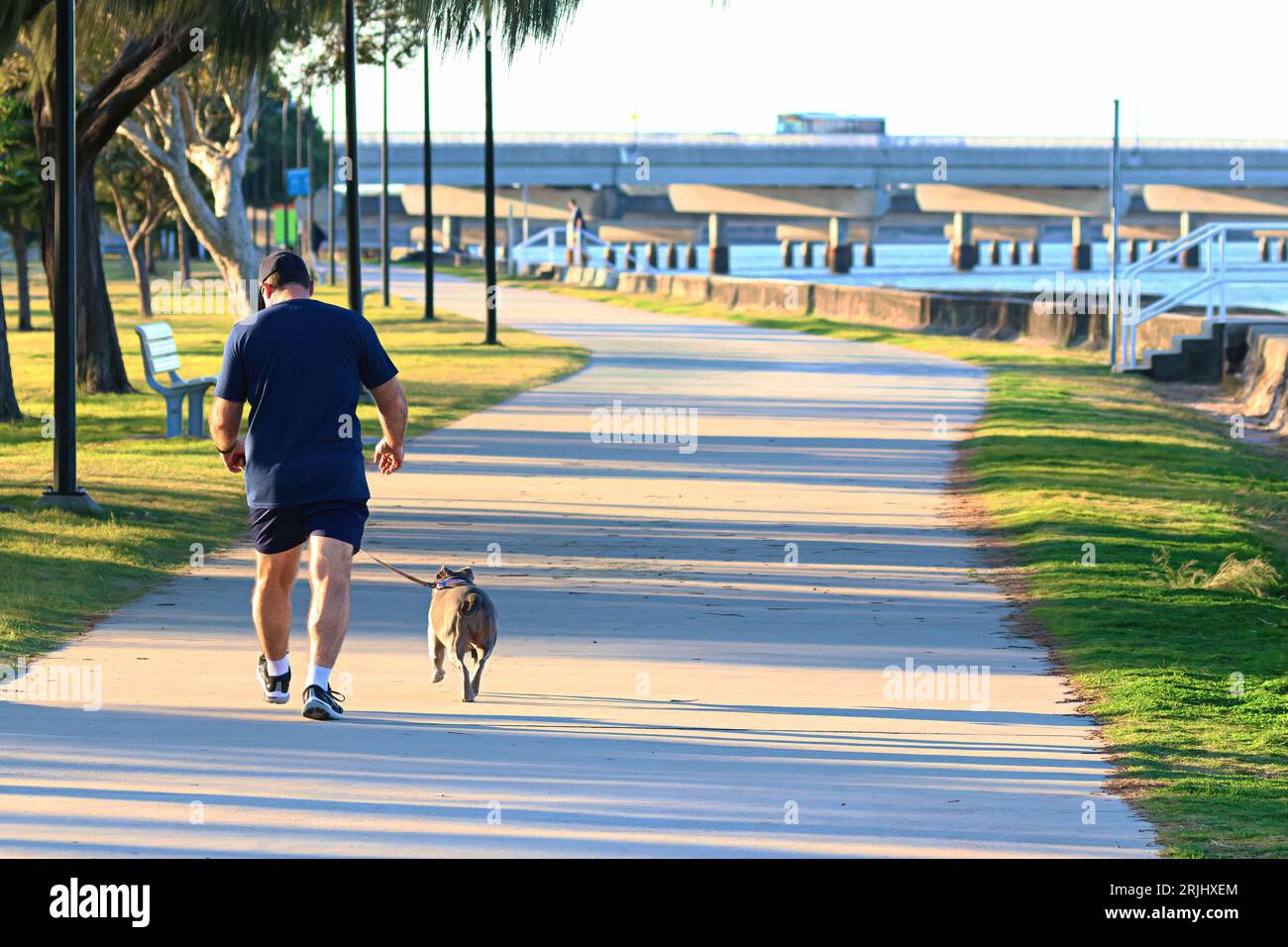Random guy, man, people walking a dog, looking away from the camera. No ...