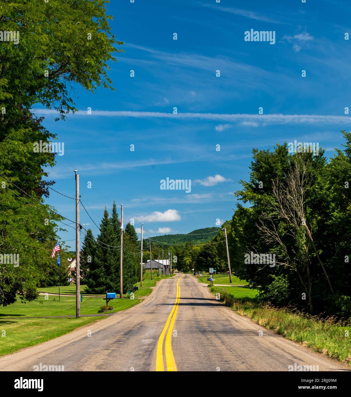 Pennsylvania pine tree hi-res stock photography and images - Alamy