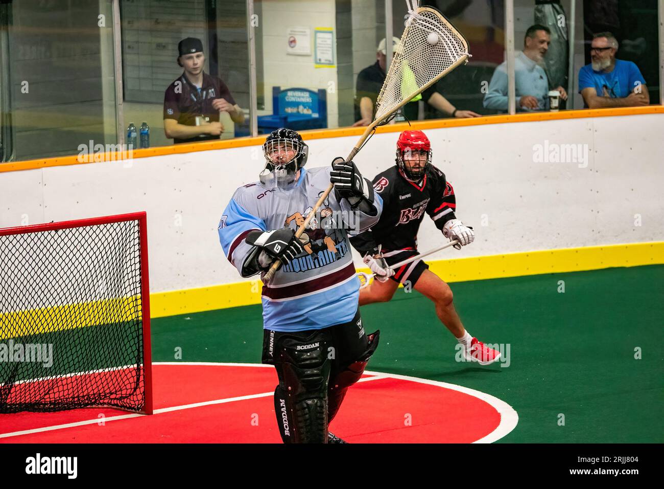 Minto cup canada hi-res stock photography and images - Alamy