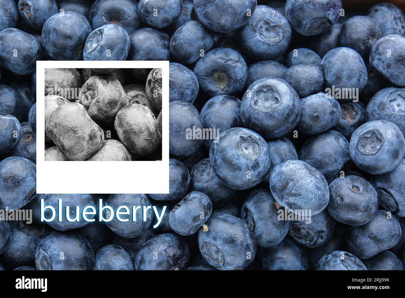 Collage with fresh blueberry and photo frame Stock Photo - Alamy