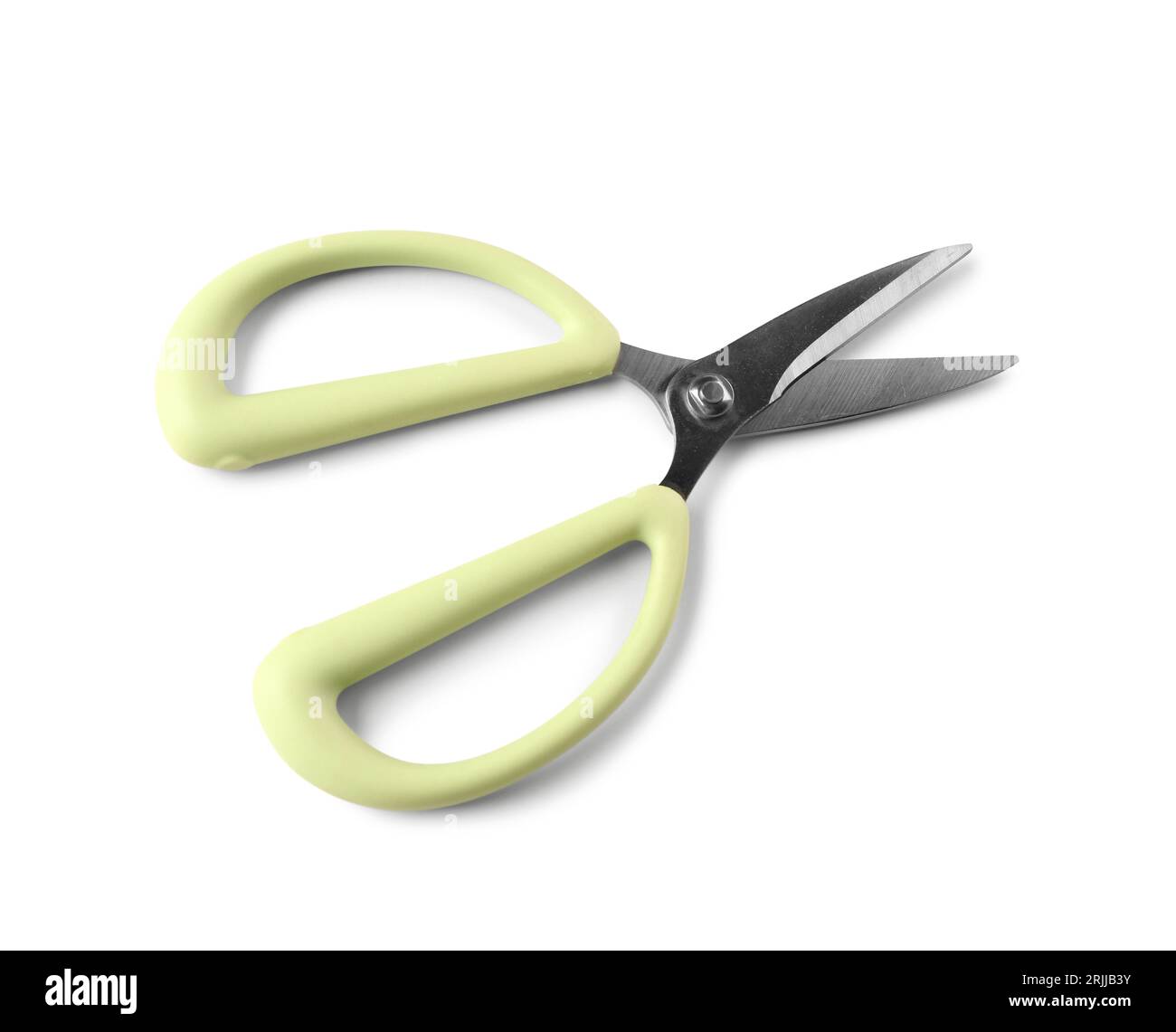 Floral scissors with green handle on white background Stock Photo - Alamy