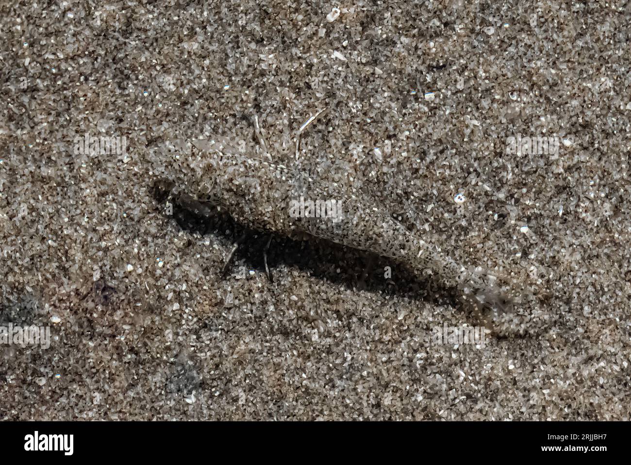 Smooth sand beach pacific hi-res stock photography and images - Alamy