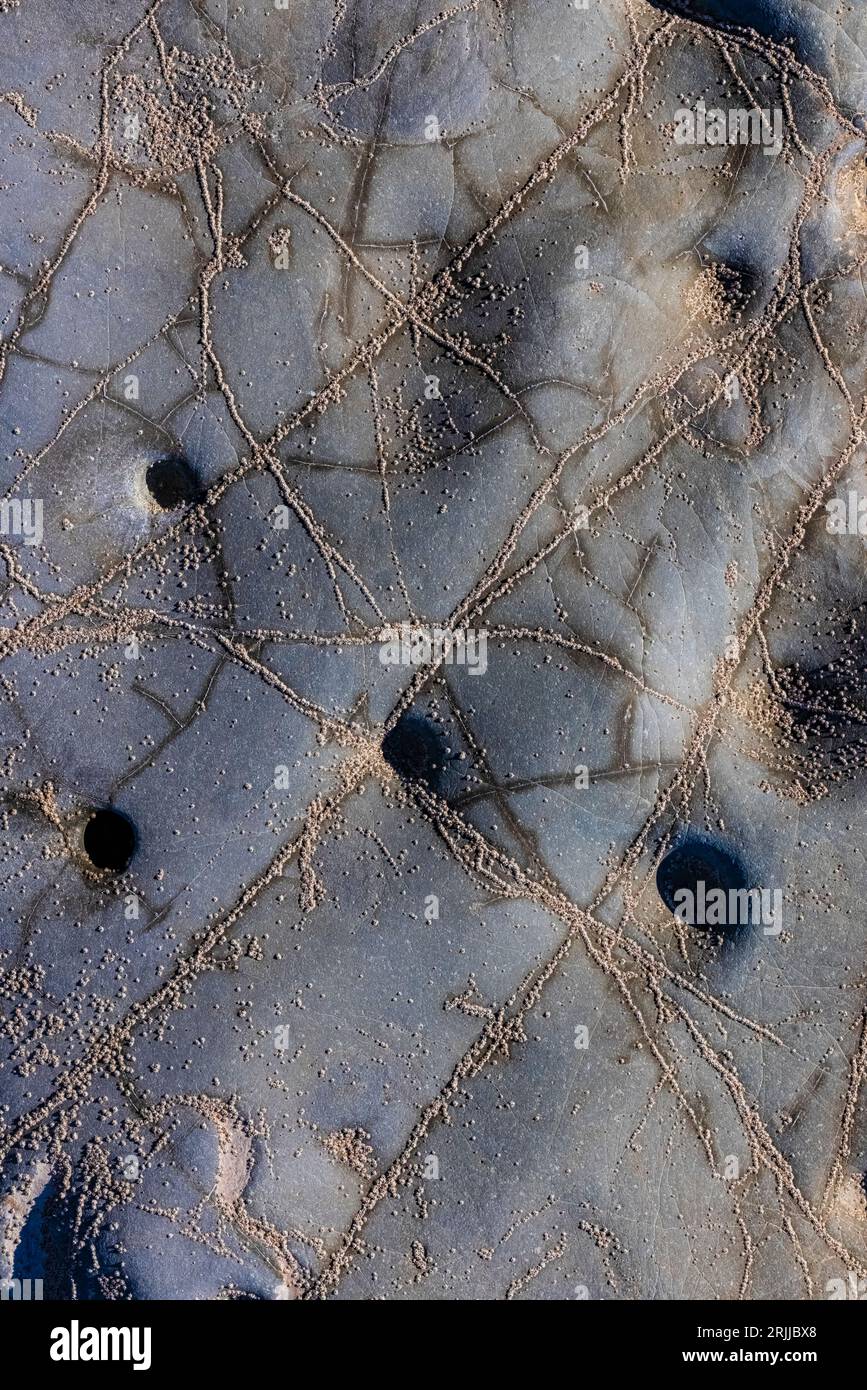 Clam holes hi-res stock photography and images - Alamy