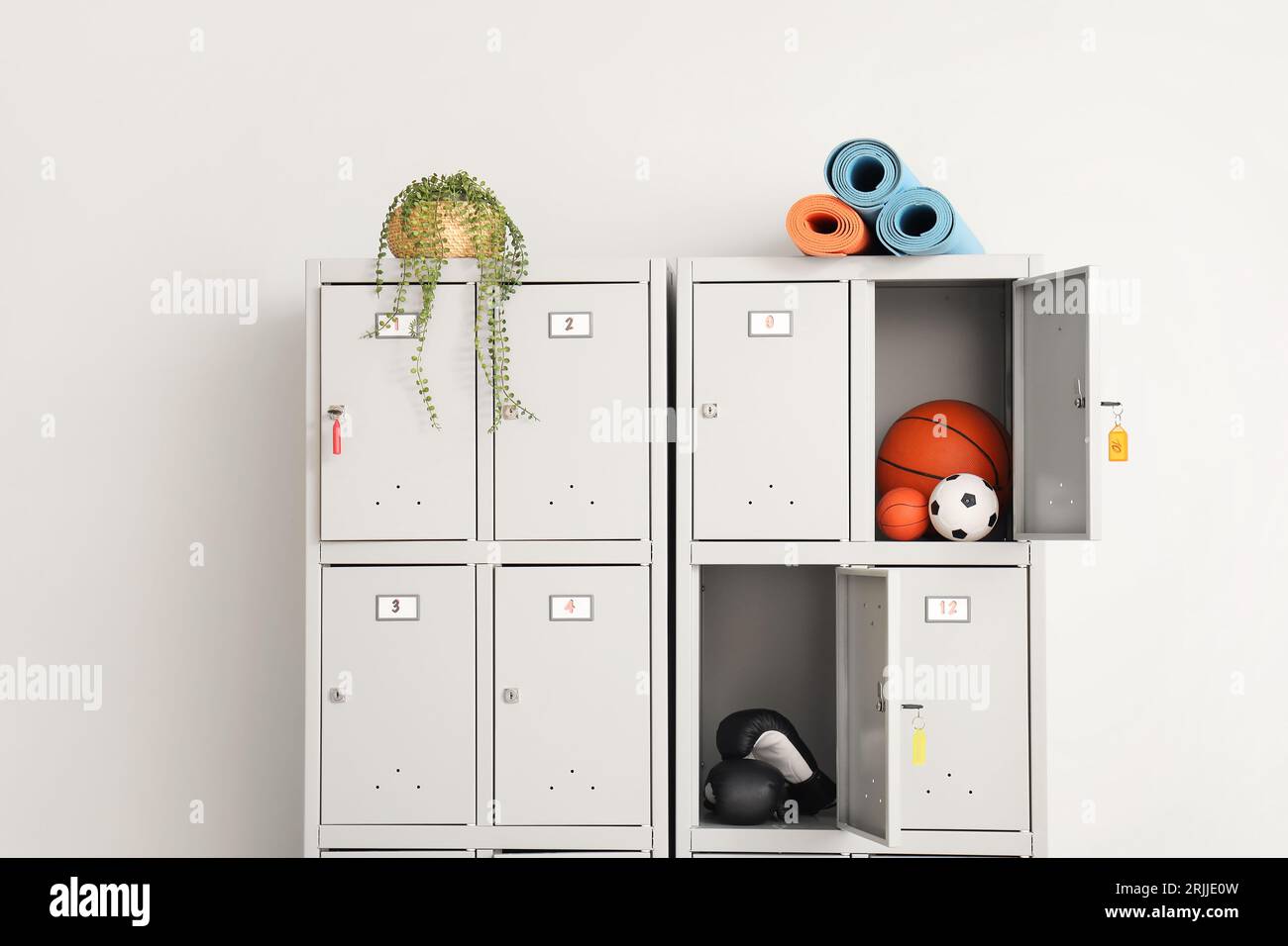 Modern locker with sports equipment and plant near light wall Stock ...