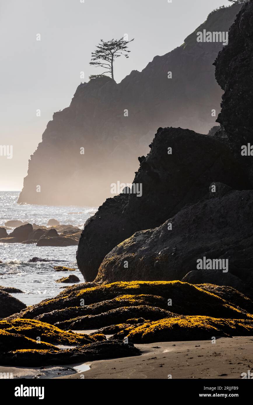 Tombolo usa hi-res stock photography and images - Alamy