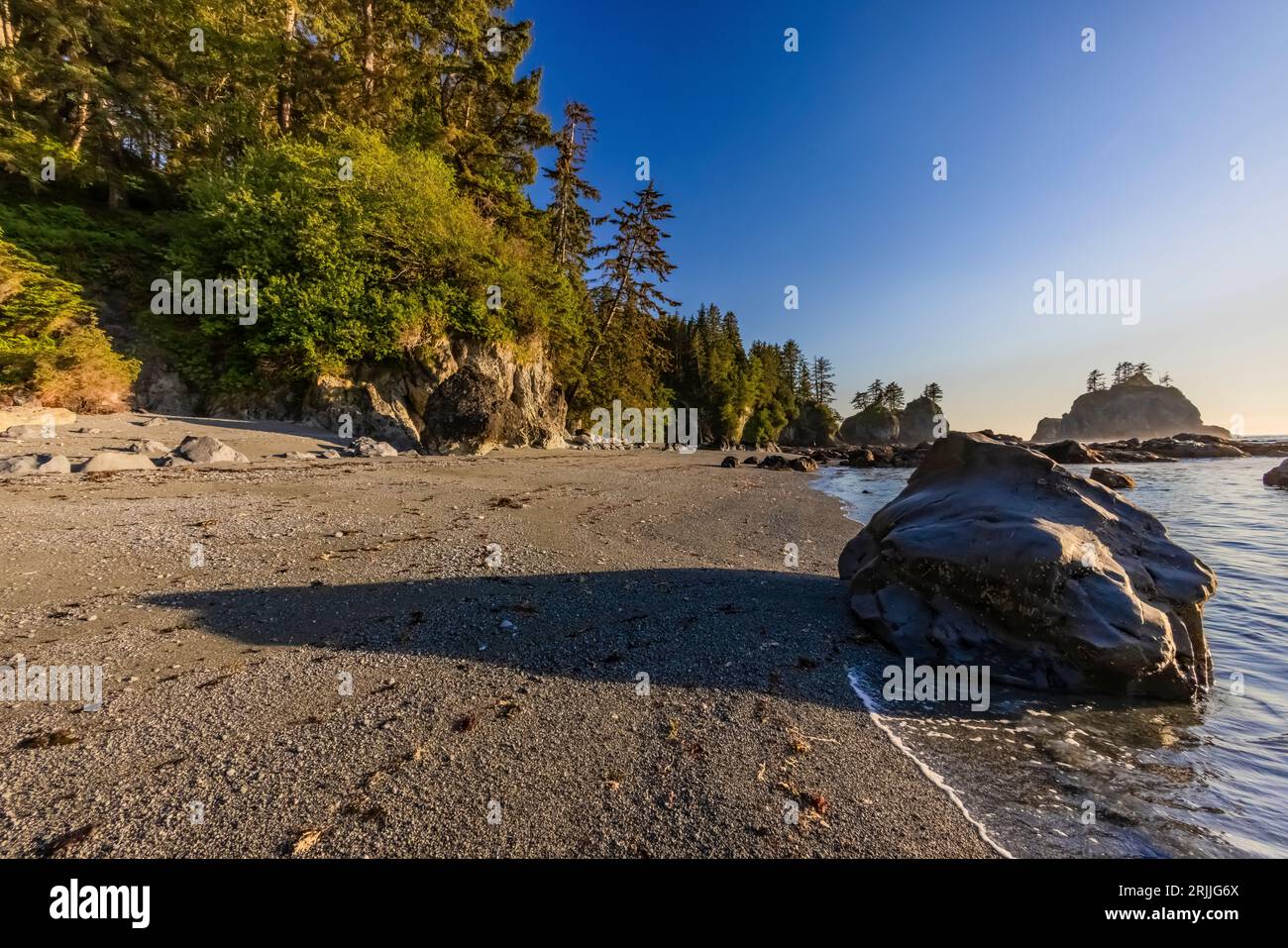 Beach just south of Point of Arches, Olympic National Park, Washington ...