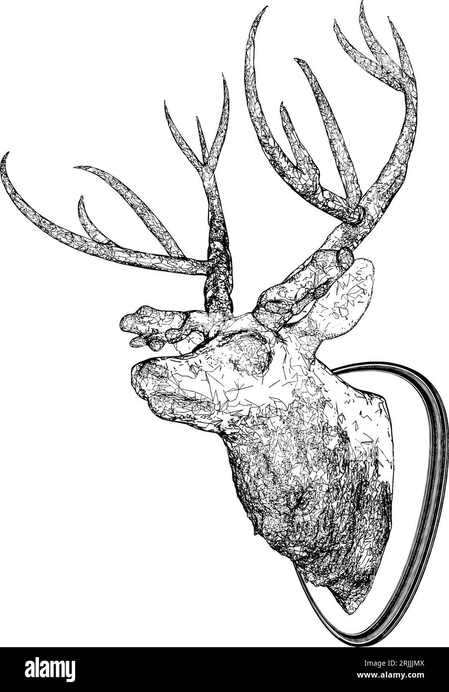 Whitetail Deer Head Drawing