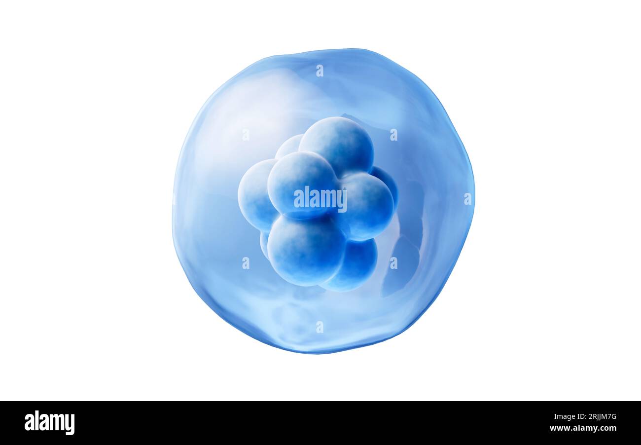 Blue isolated cell with biology concept, 3d rendering. Digital drawing ...