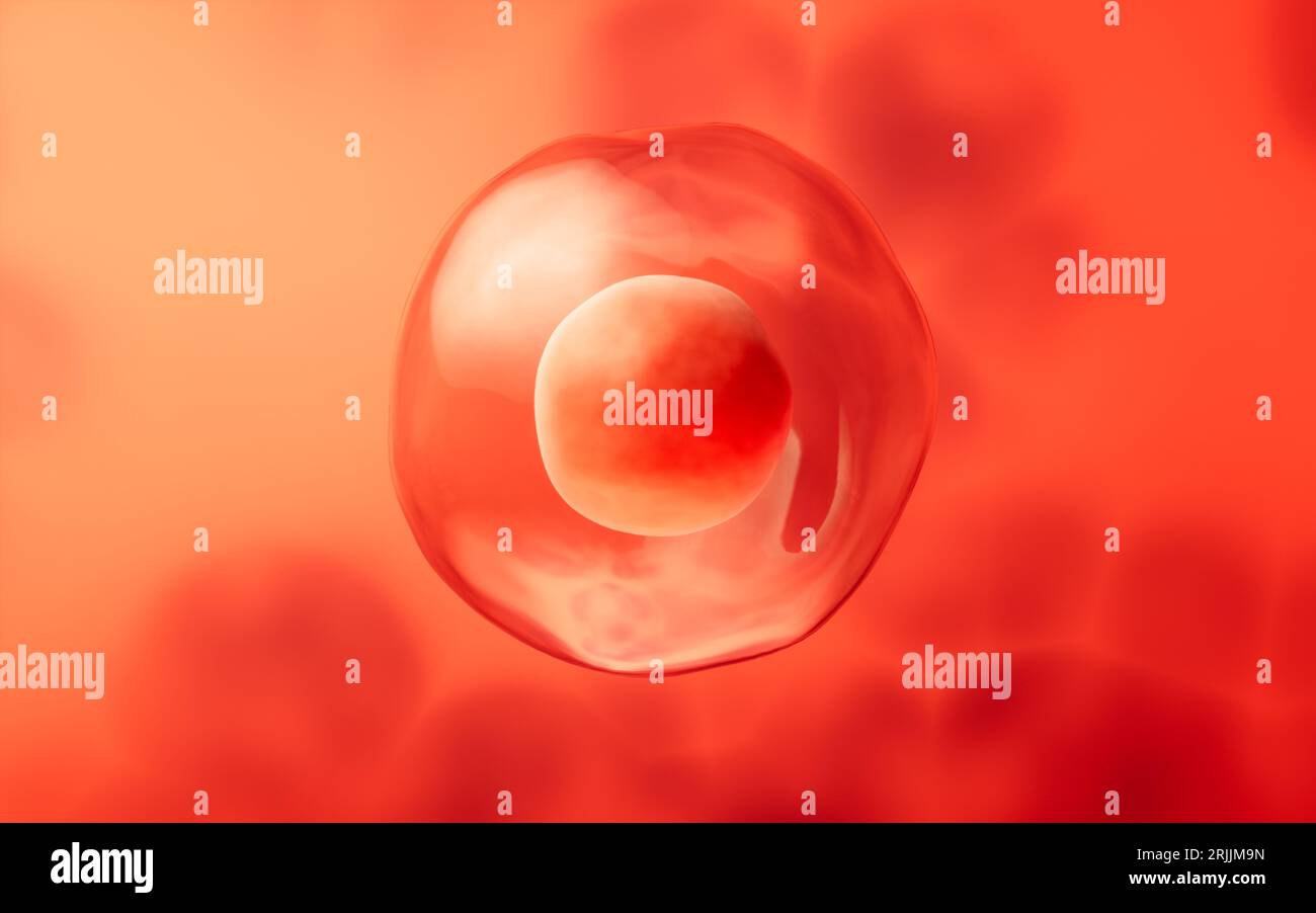 Red cell with biology concept, 3d rendering. Digital drawing Stock ...