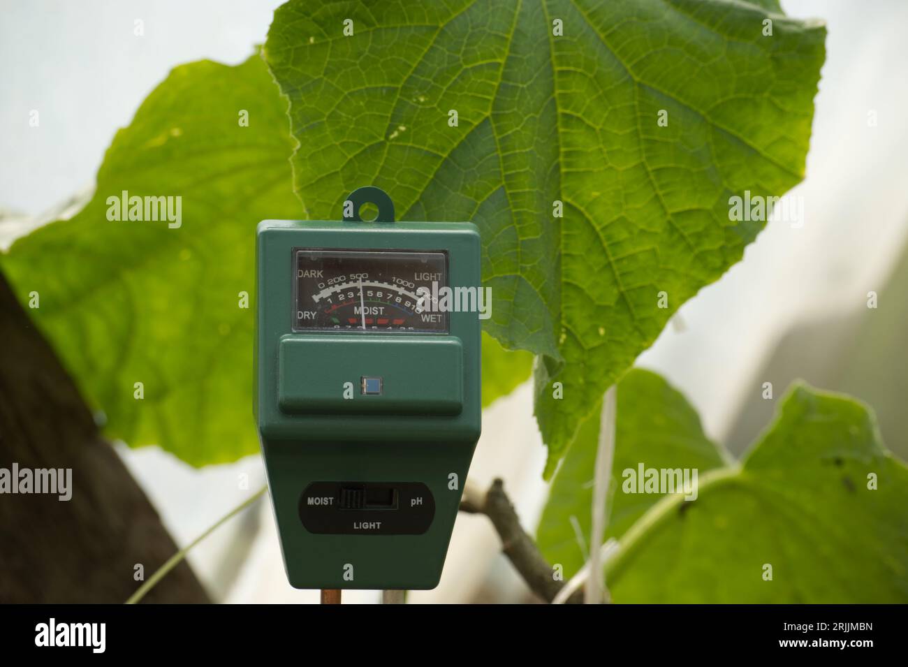 Green plants and three way meter PH, light and moisture in the soil ...