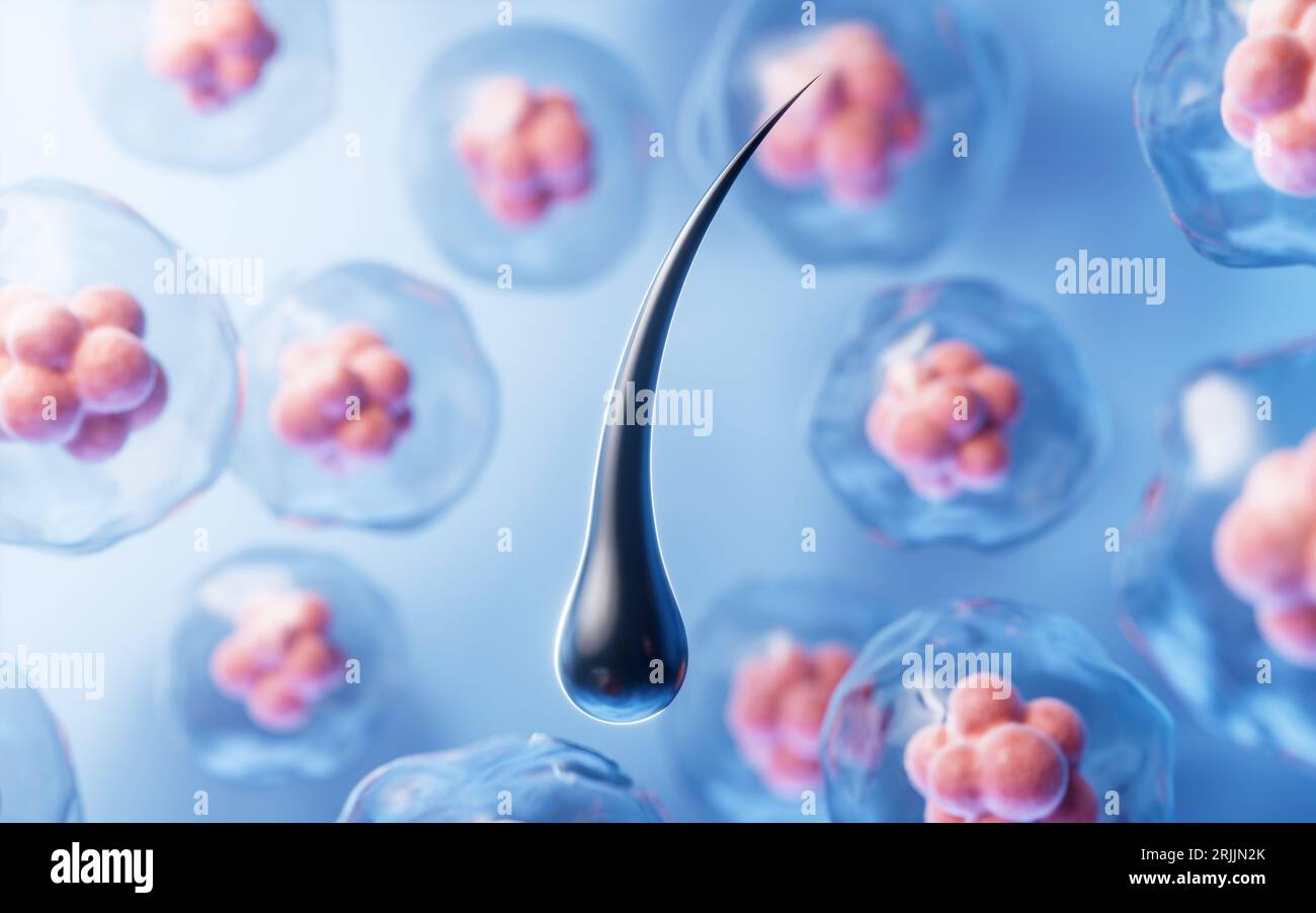 Root hair cell microscope hi-res stock photography and images - Alamy