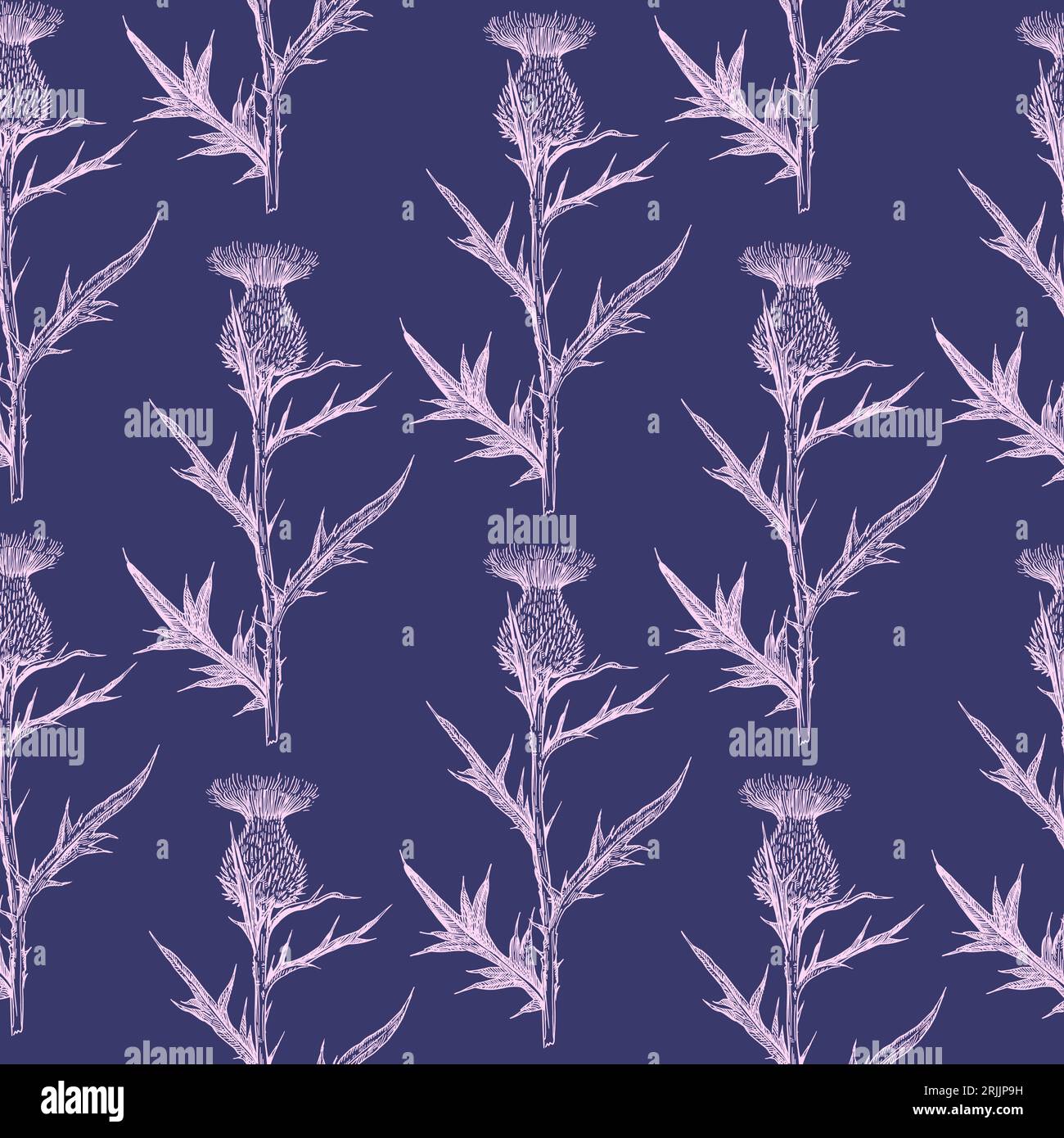Scottish plants Stock Vector Images - Alamy