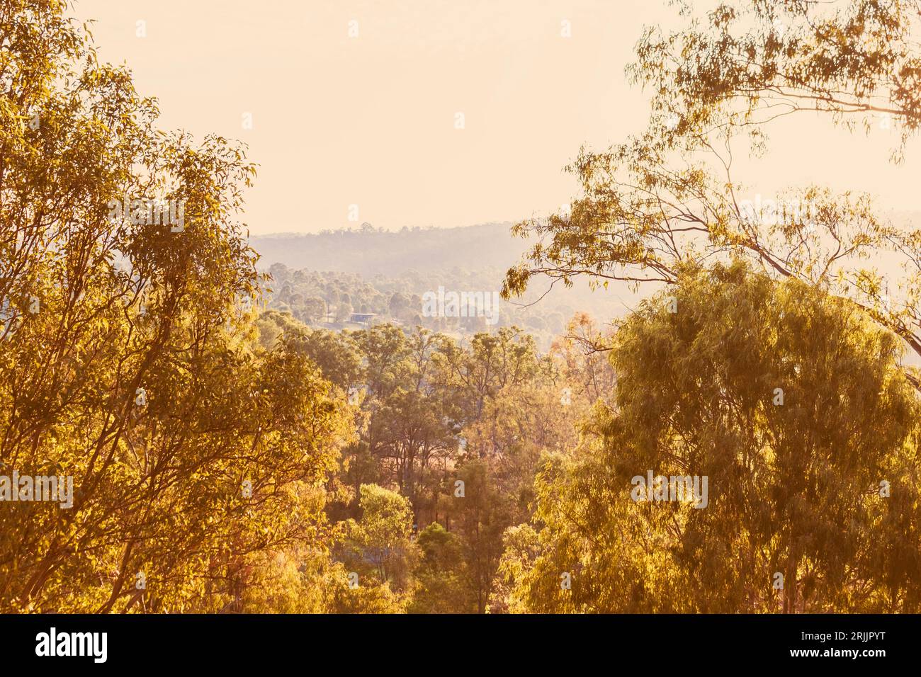 Rustic vista view of elevated bushland taken from a hazy afternoon day ...