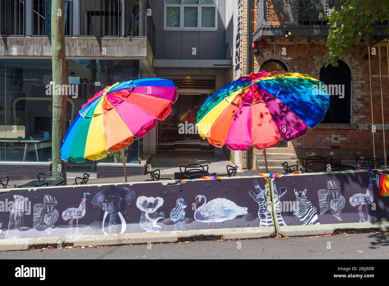 Darlinghurst sydney cafe hi-res stock photography and images - Alamy