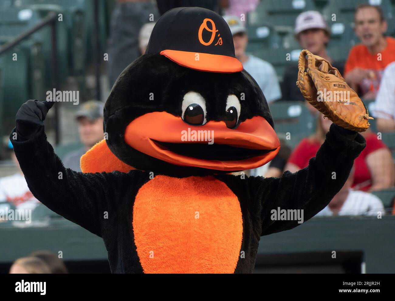 Toronto Blue Jays Mascot Hi Res Stock Photography And Images Alamy