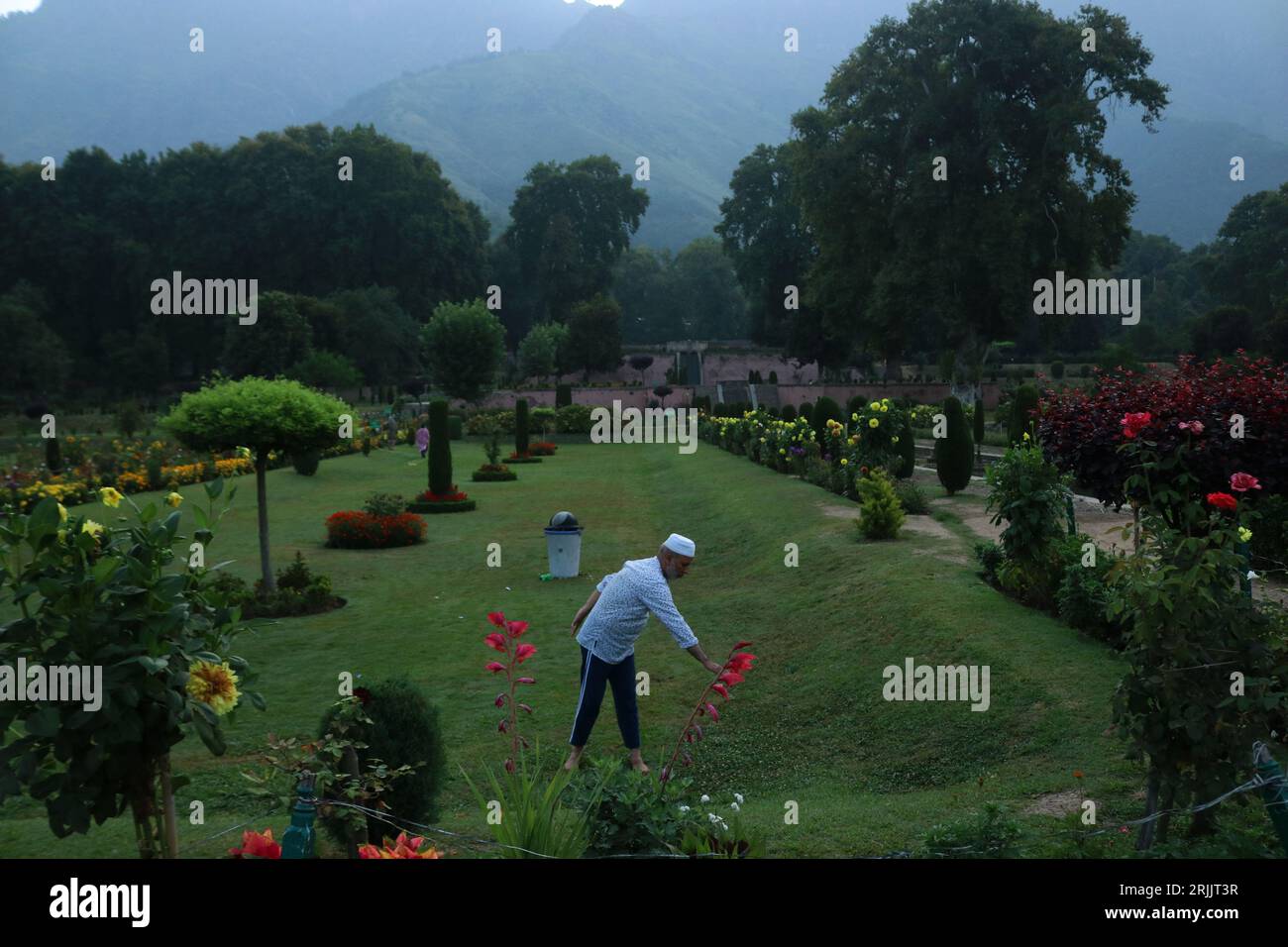 August 23,2023, Srinagar Kashmir, India : A man exercises in the Nishat ...