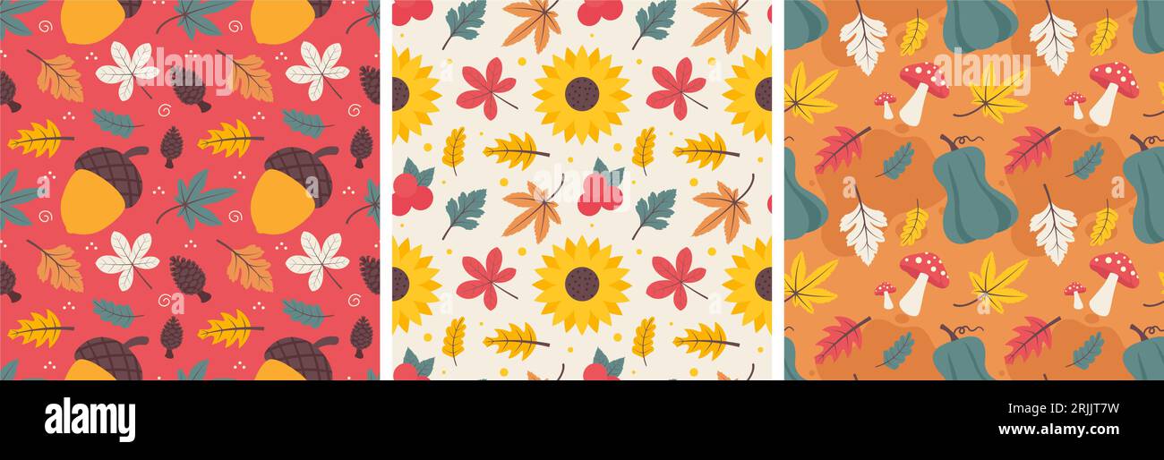 Set of Autumn Season Seamless Pattern Design with Fall Elements in ...