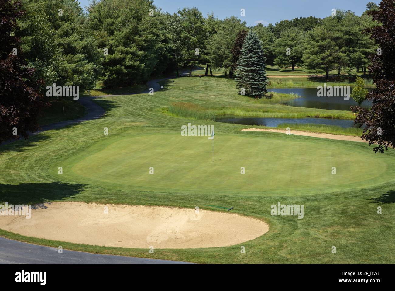 An aerial view of a lush golf course surrounded by a green forest, with ...