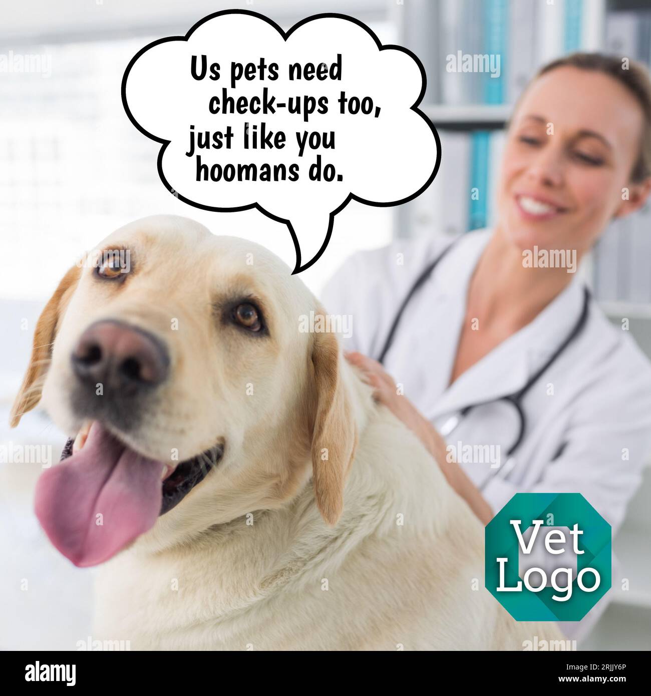 Female vet puppy hi-res stock photography and images - Alamy