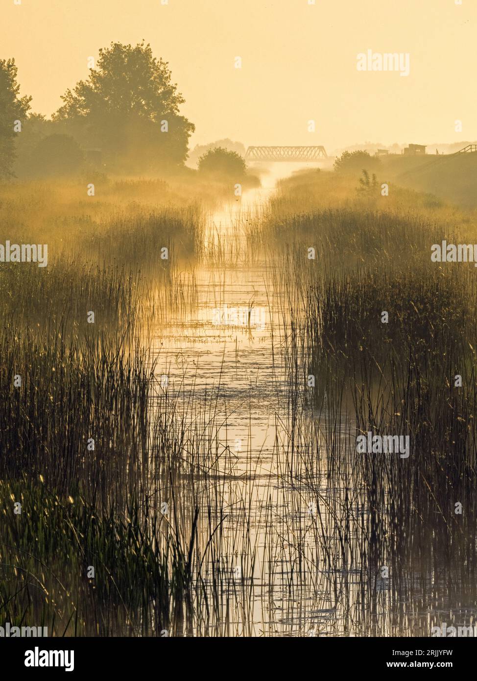 View north along the Counter Drain at dawn, Welches Dam, Ouse Washes ...