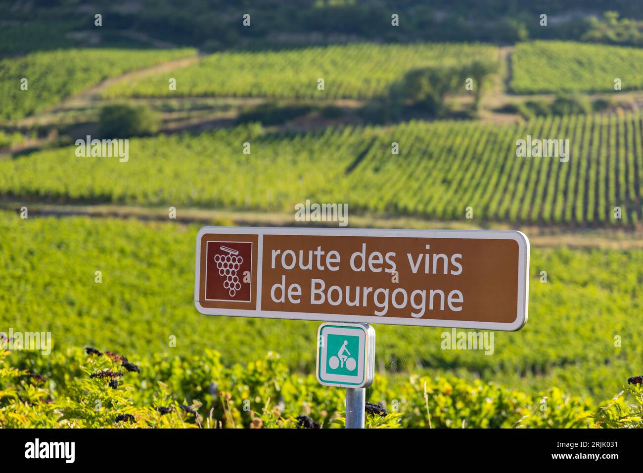 Wine road near Solutre, Burgundy, France Stock Photo - Alamy