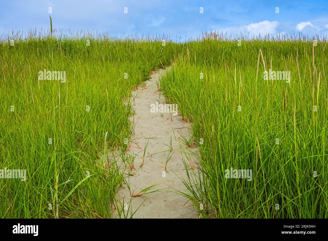 Hilly area in the morning hi-res stock photography and images - Alamy