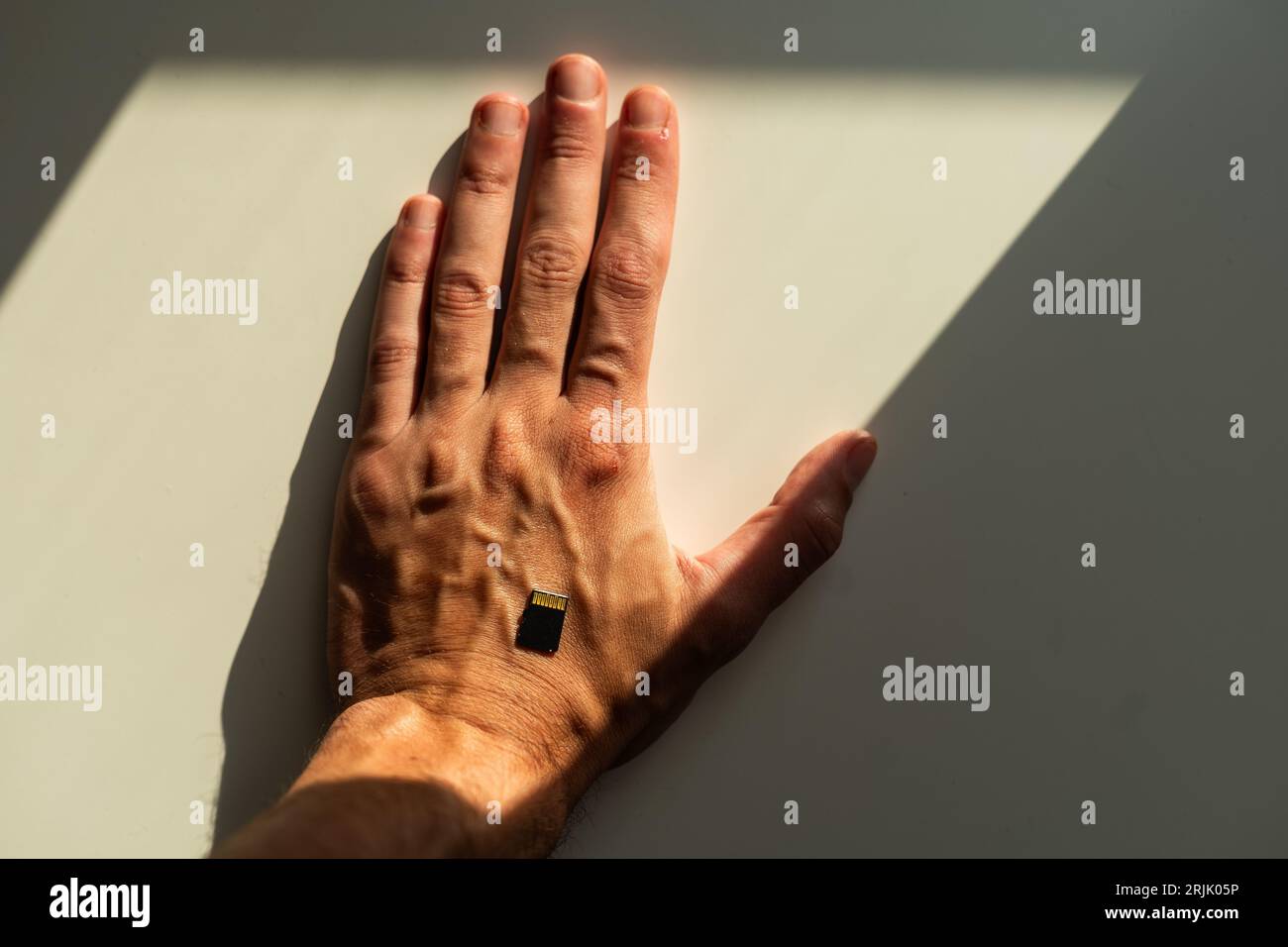 Woman holding sd memory hi-res stock photography and images - Alamy