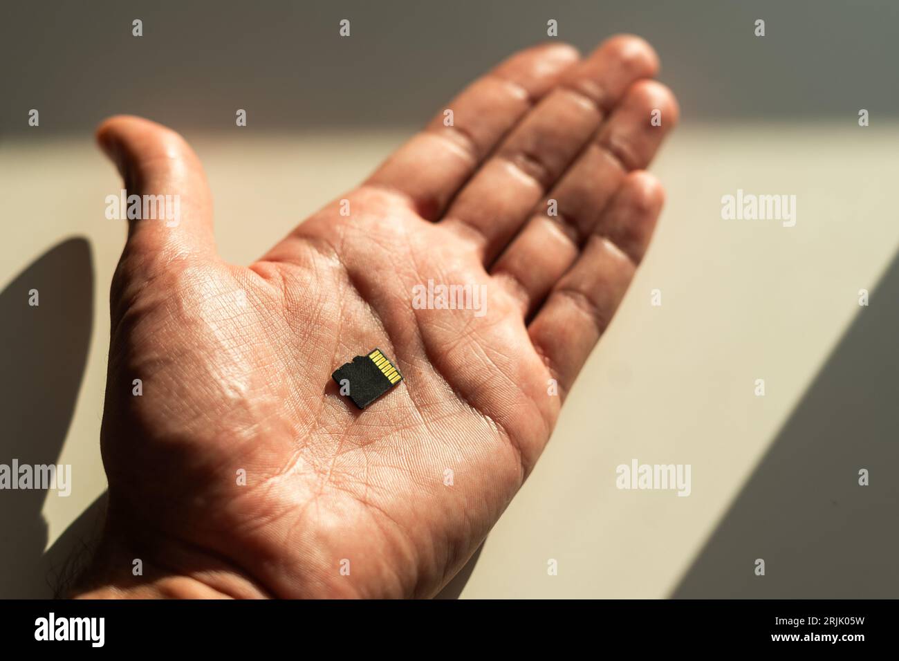 SD card Or memory card in hand concept of technology and in form of ...