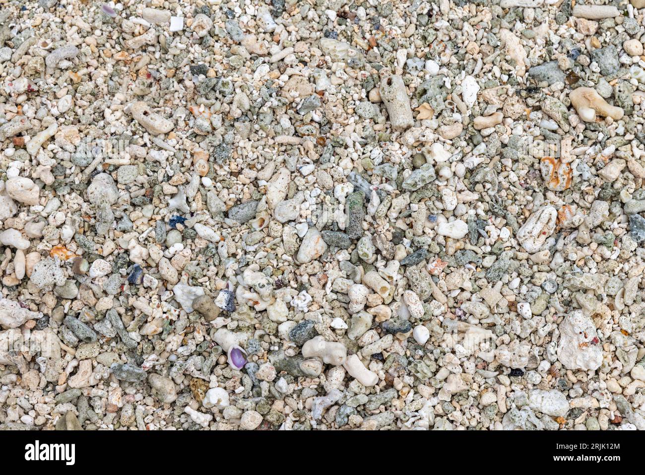 White pebble with coral and shells fragments, natural background photo ...