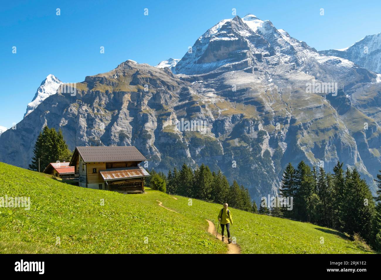 Traditional alpine village in touristic valley Lauterbrunnen and ...