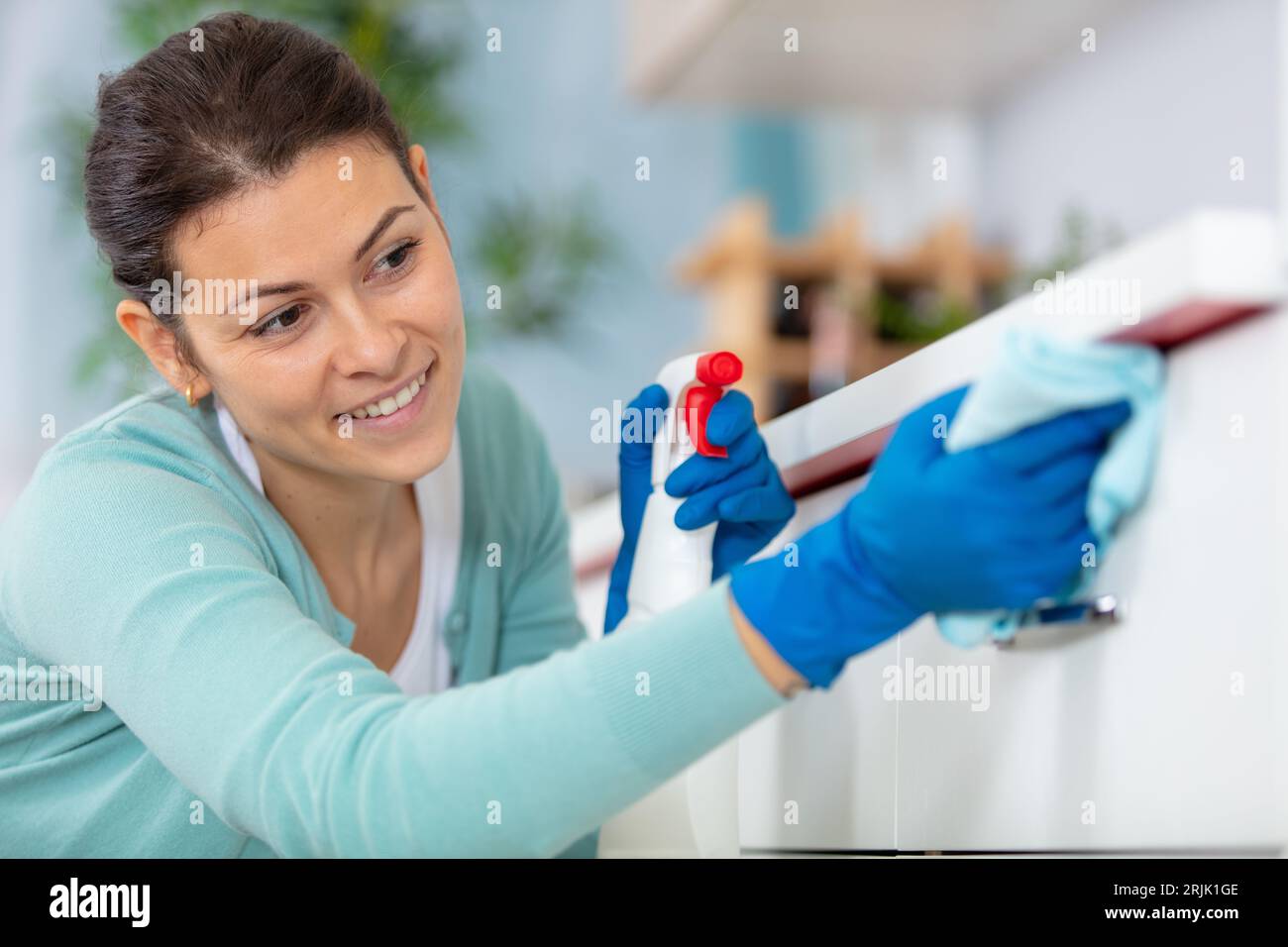 Kitchen scrubbing tools hi-res stock photography and images - Alamy
