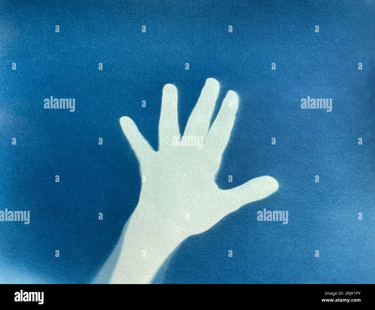 Cyanotype photography hi-res stock photography and images - Alamy