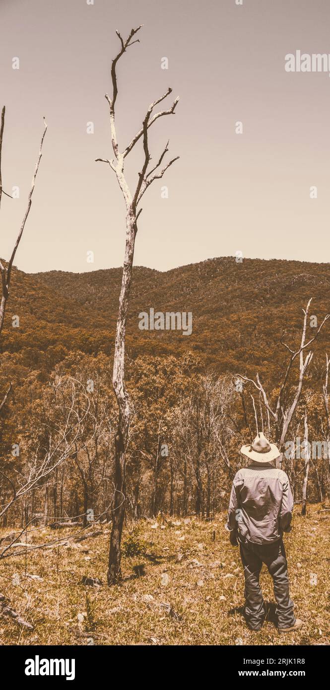 Queensland drought farmer hi-res stock photography and images - Alamy