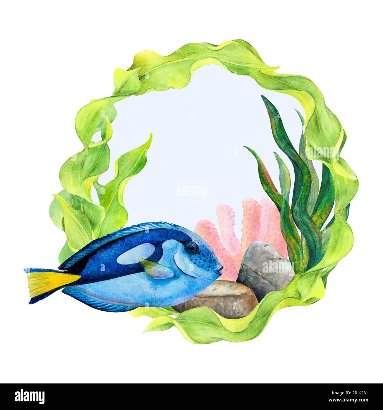 Watercolor drawing circle frame from curved ribbon algae, coral, bottom ...