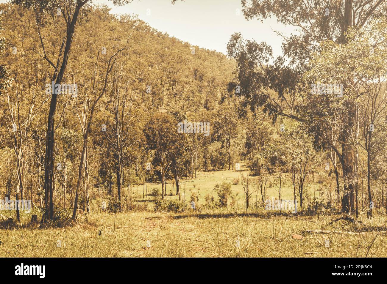 Classic west australia hi-res stock photography and images - Alamy