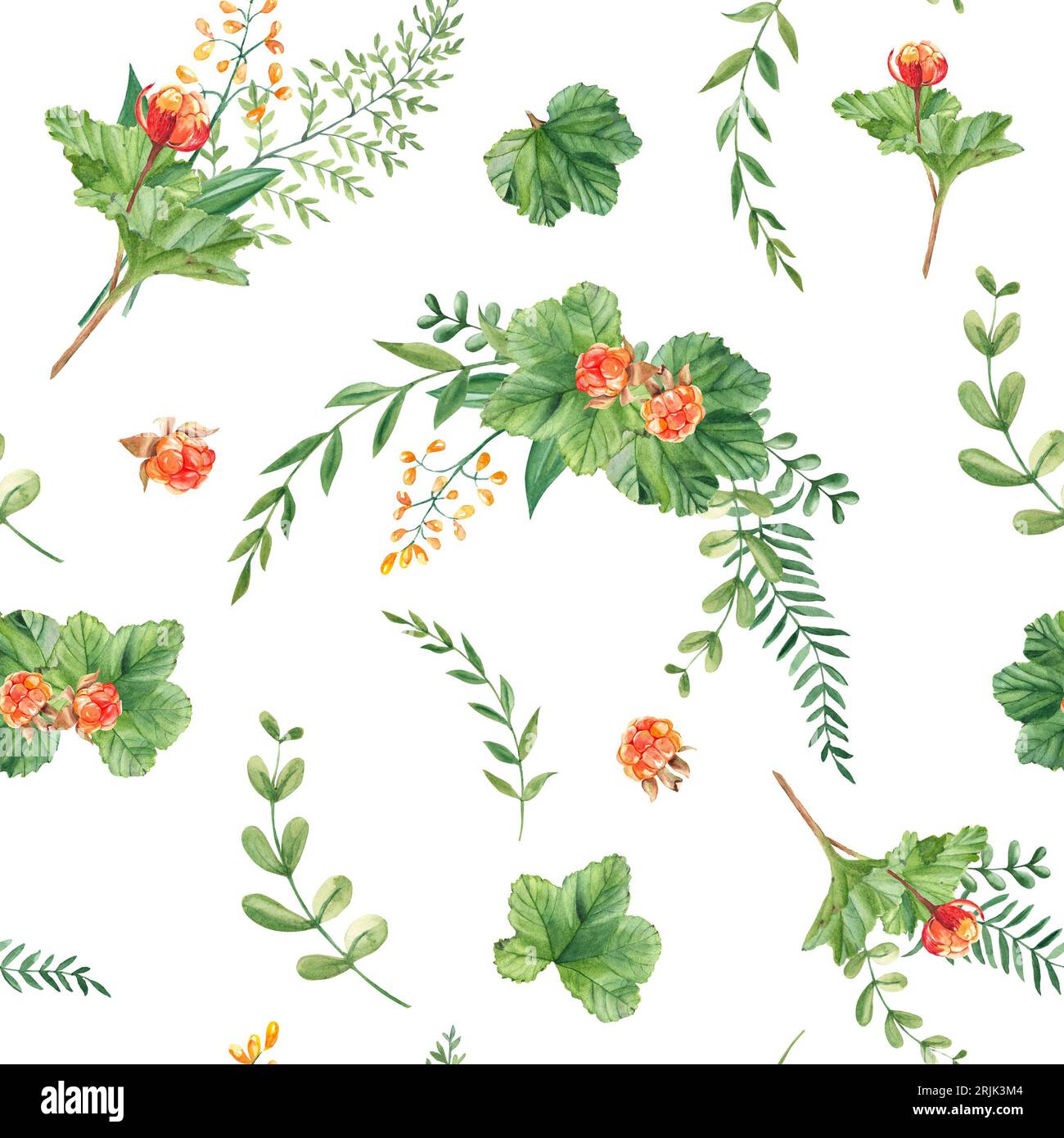 Seamless watercolor pattern with cloudberry leaves and berries, fern ...