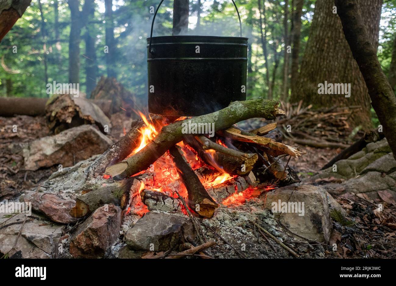 Water boils in a black pot on the fire of a campfire in a forest ...