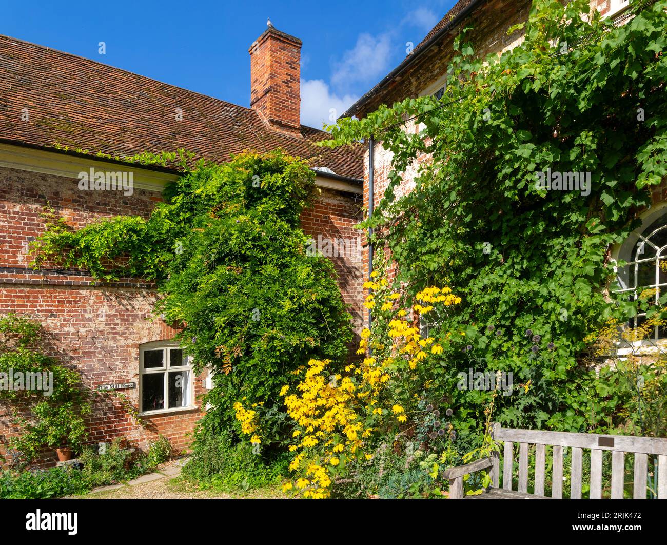 Flatford Mill, East Bergholt, Suffolk, England, UK - Yellow rudbeckia ...