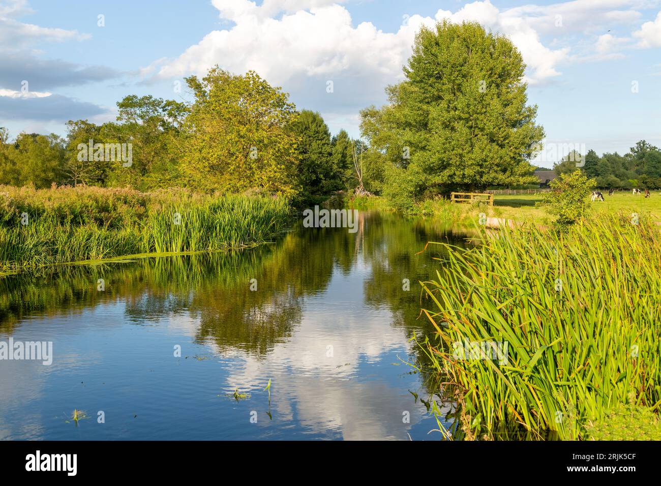 River Stour landscape, Dedham Vale, East Bergholt, Suffolk, England, UK ...