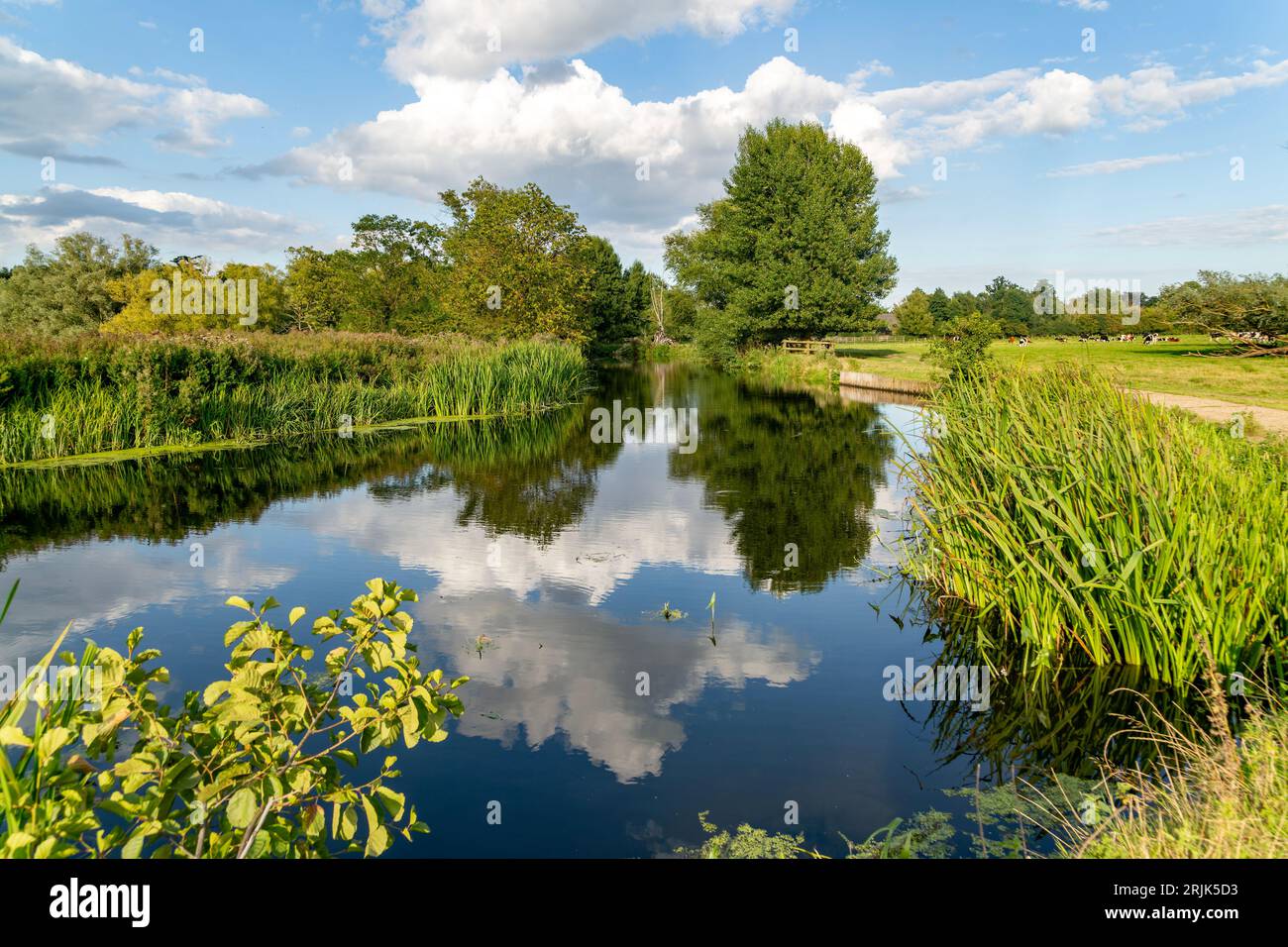 River Stour landscape, Dedham Vale, East Bergholt, Suffolk, England, UK ...